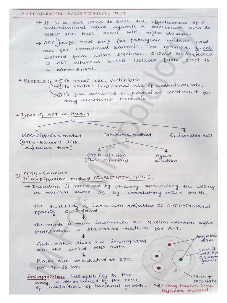 AST | PDF