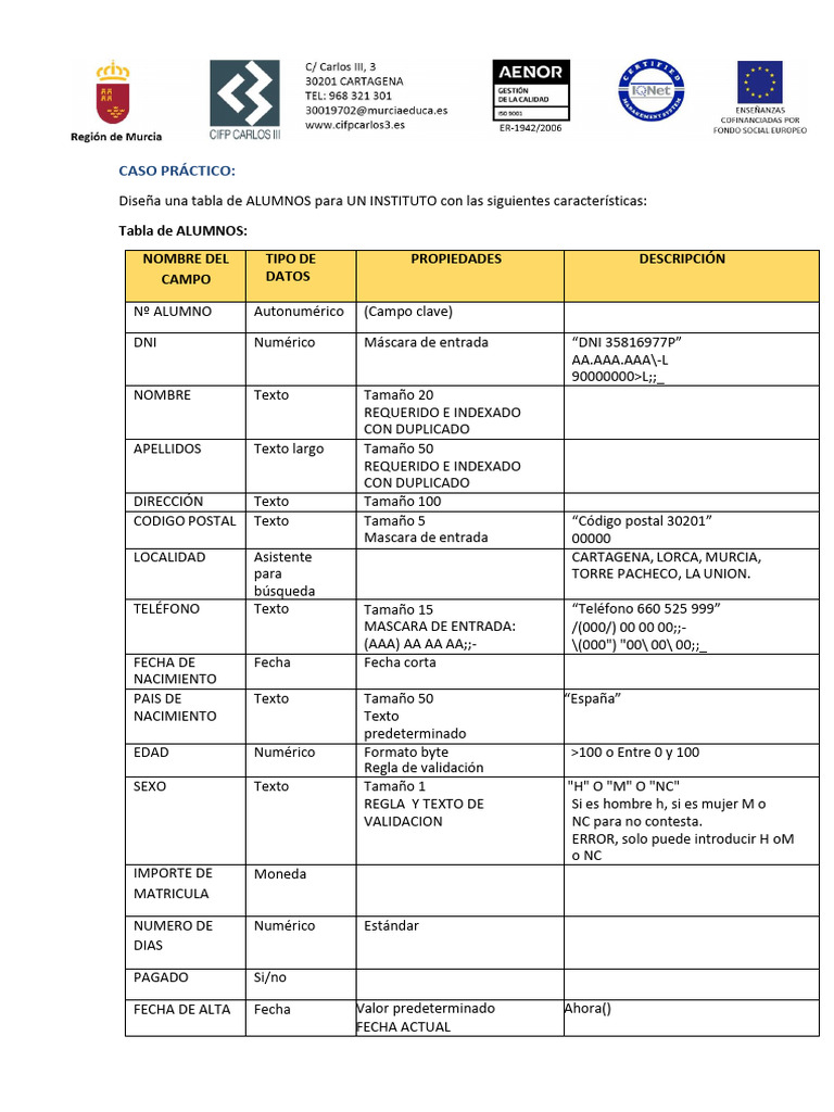 Ejercicio Access Práctica 1 (Tablas-Tipo de Datos-Propiedades Campos) | PDF