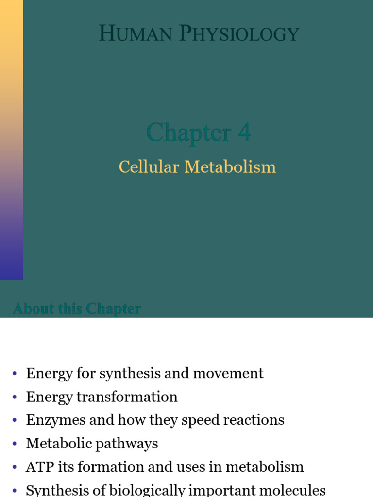 Cellular Metabolism-Ilyas Aden | PDF | Enzyme | Cofactor (Biochemistry)