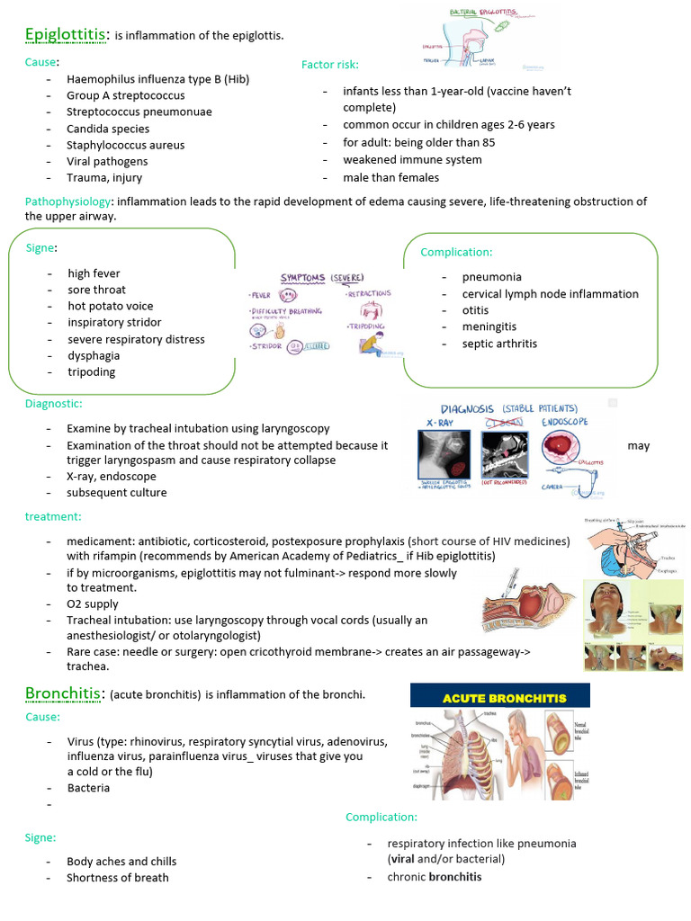 Understanding Epiglottitis and Bronchitis | PDF | Cough | Pneumonia