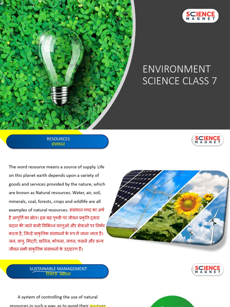 234) Environment Class 7 | PDF