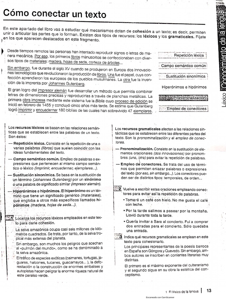 Cohesión Textual Con Ejemplos | PDF