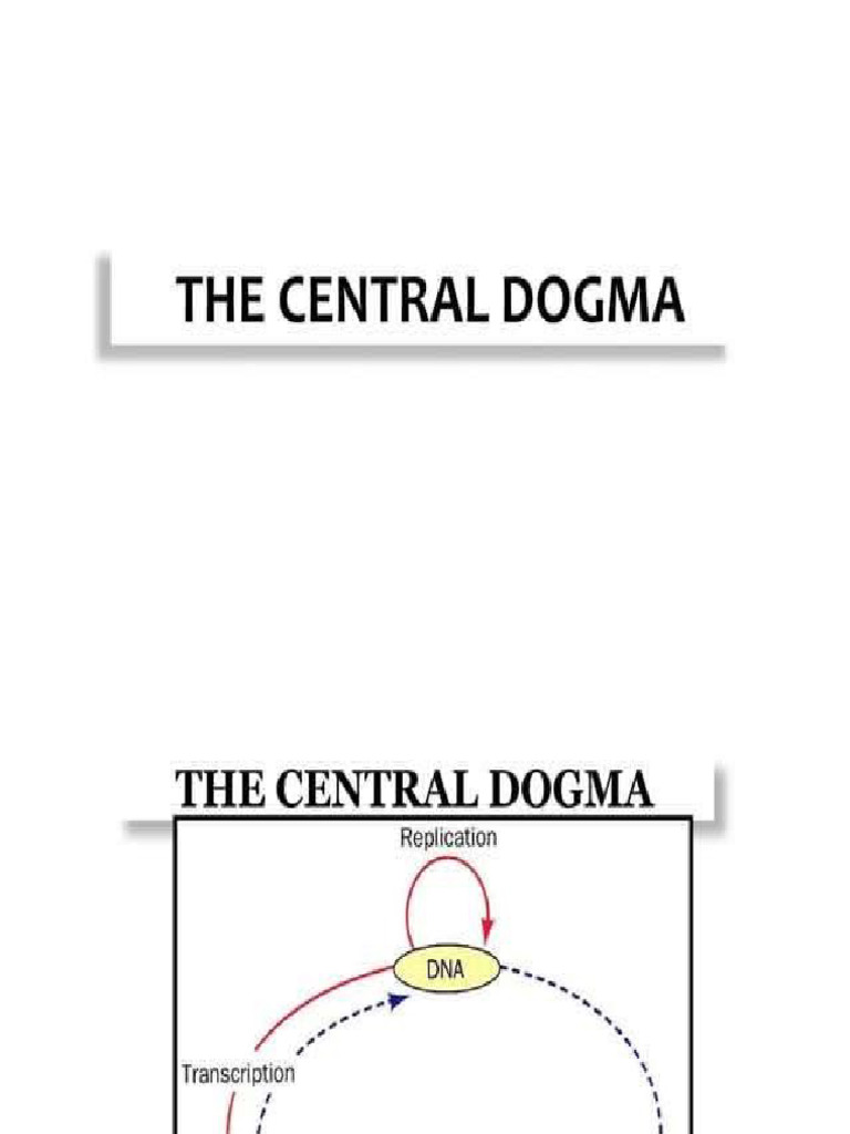 Central Dogma | PDF