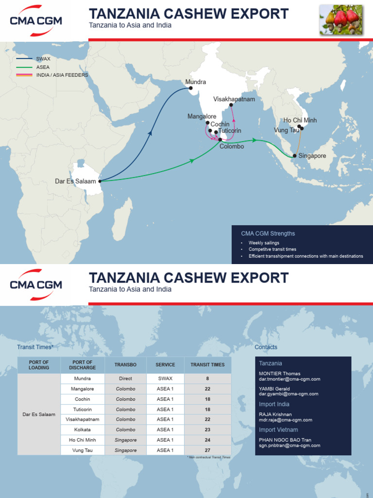 CMA CGM Tanzania Cashew Exports | PDF | Vietnam