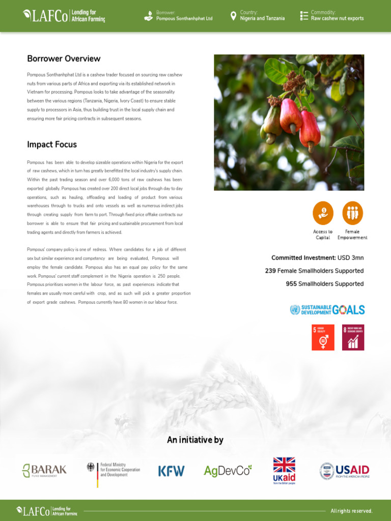 Pompous Investments in Cashew Exports | PDF | Smallholding | Economies