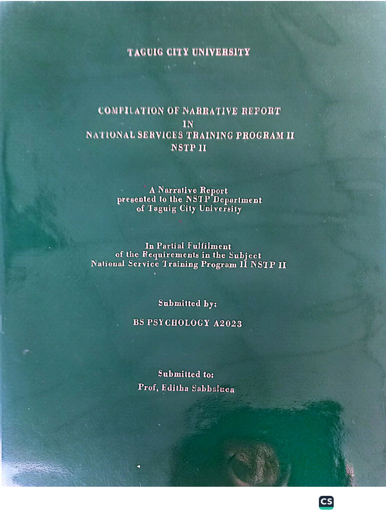 Sample-narrative-report | PDF