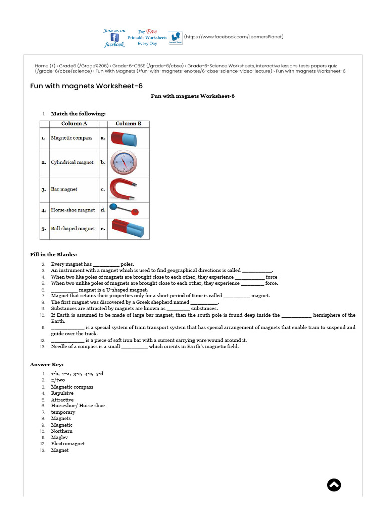 Class 6 Fun with Magnets Worksheet | PDF