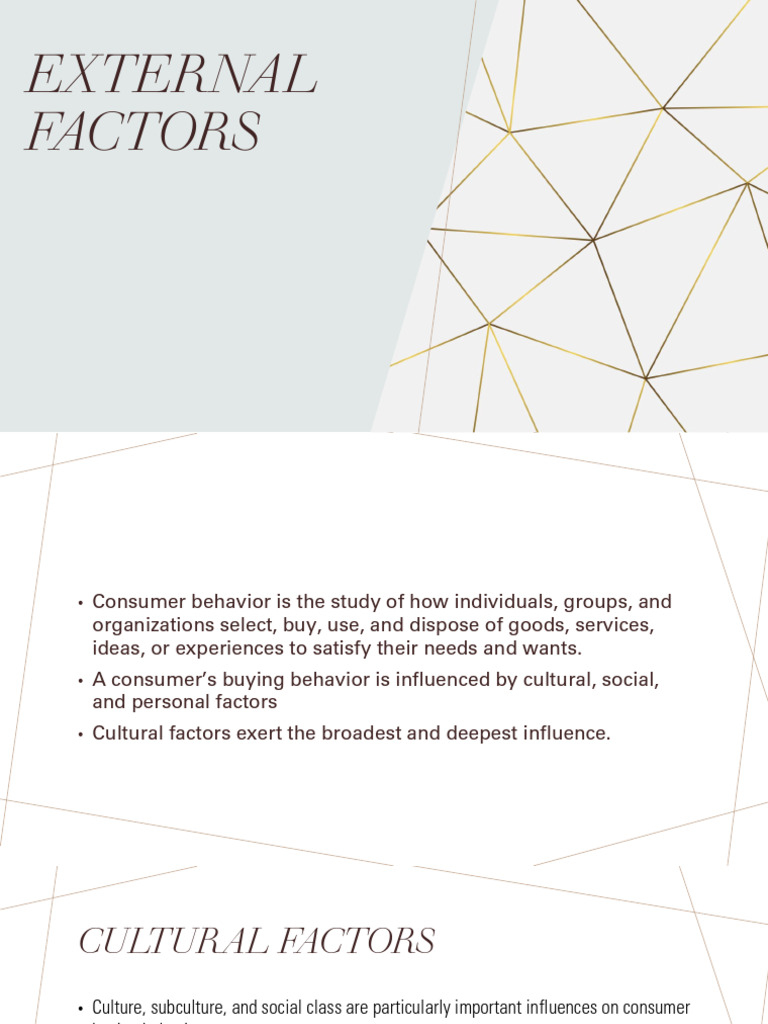 External Factors | PDF | Family | Behavior