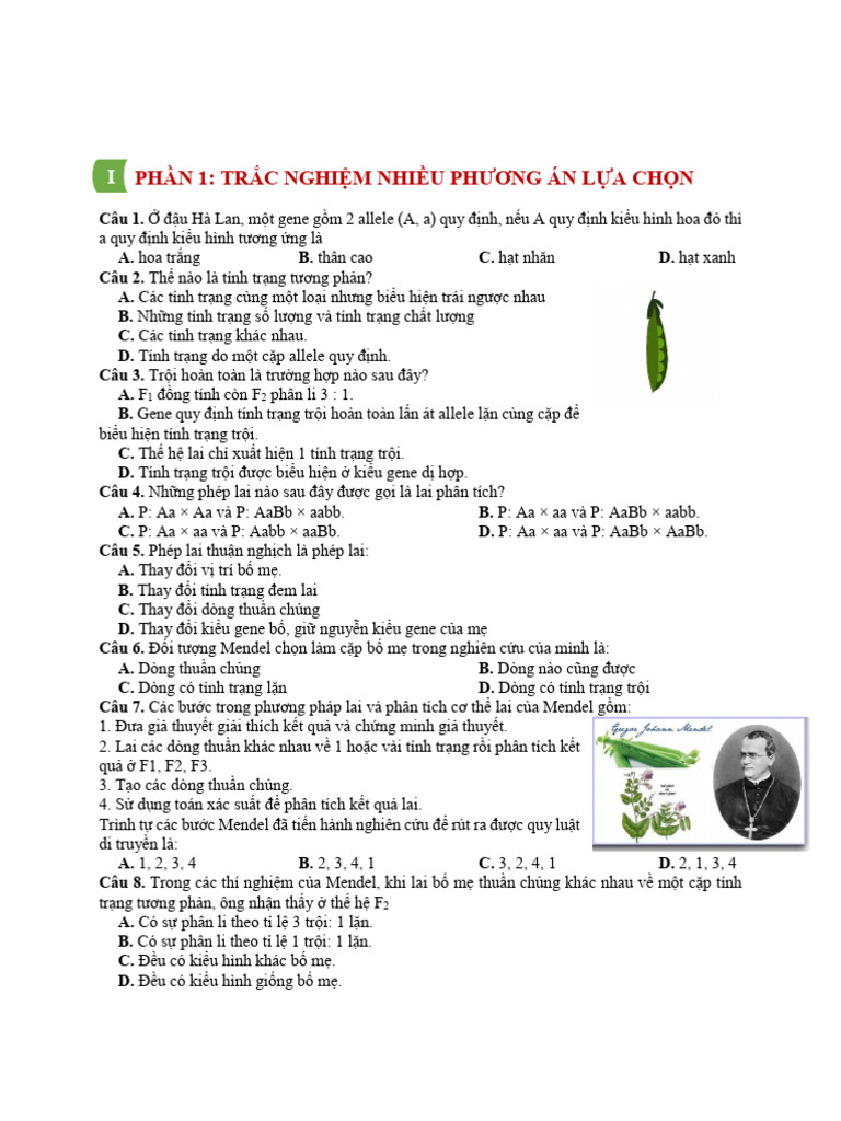 Meldel Và M R NG | PDF