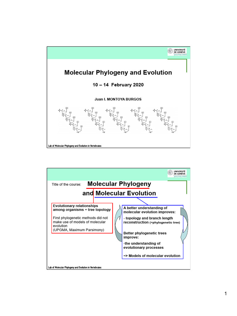 Introduction Lecture 2020 Students | PDF | Phylogenetics | Molecular ...