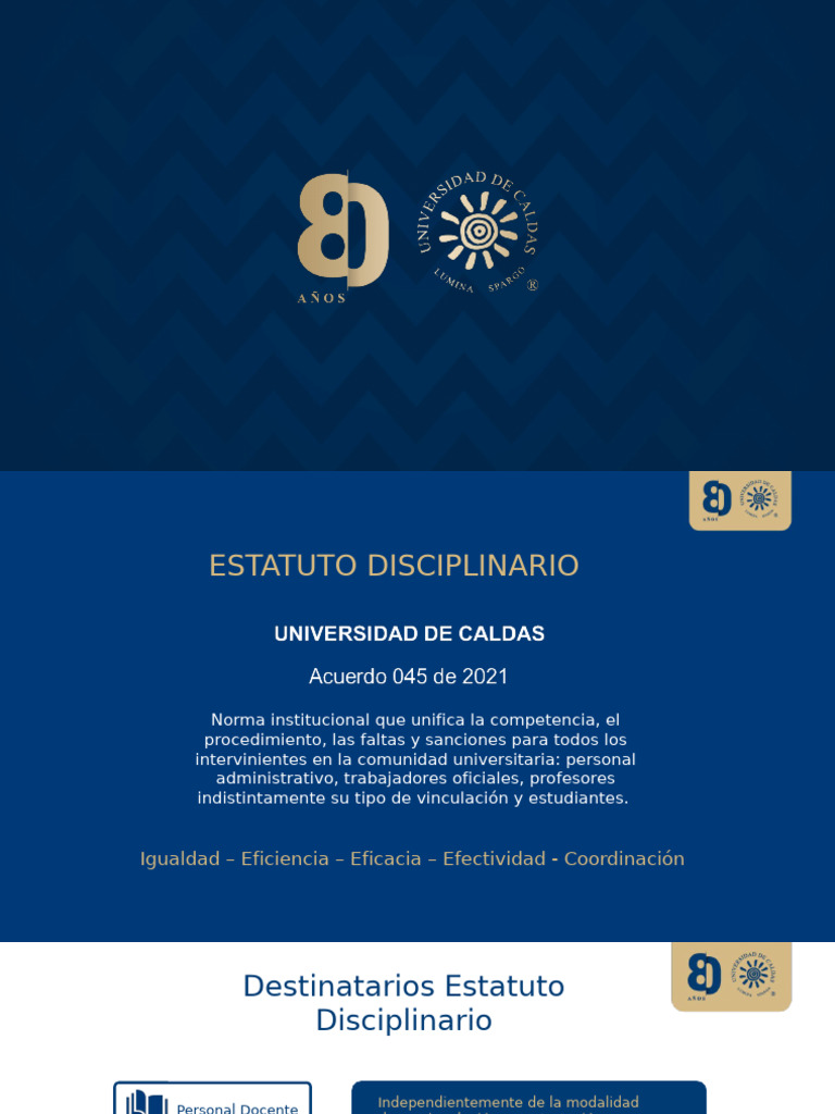 E Statuto Disciplina Rio | PDF | Deshonestidad academica