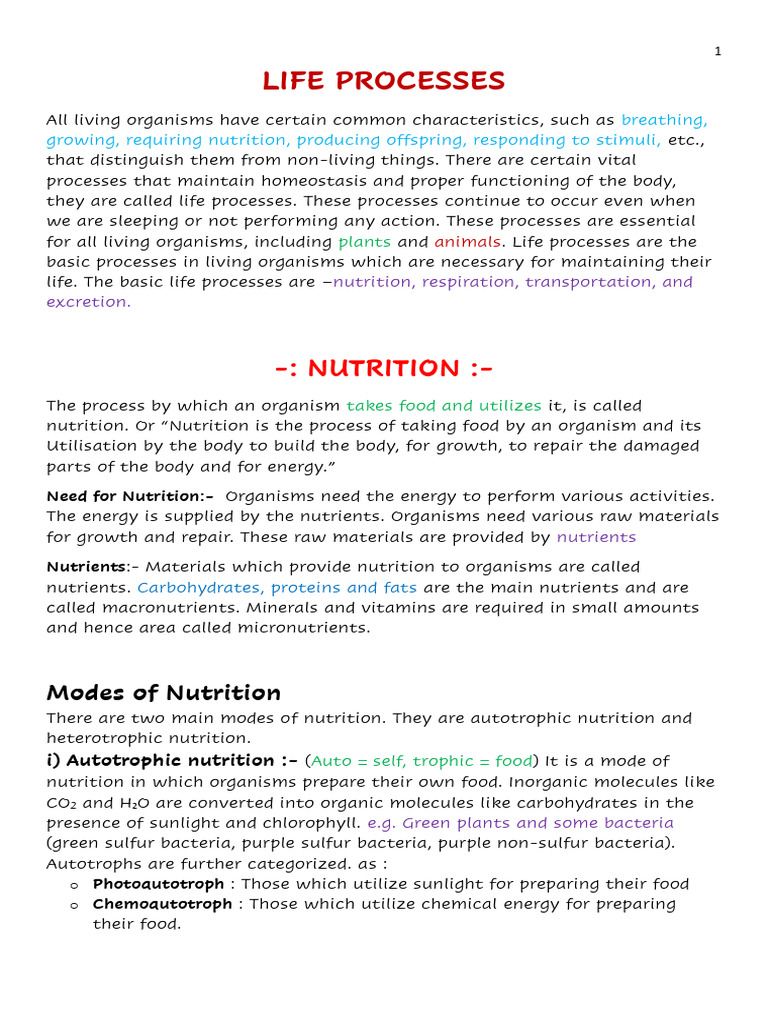 Nutrition: Modes and Processes Explained | PDF | Digestion | Nutrition