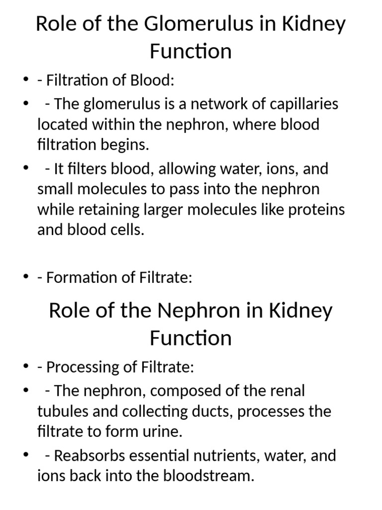 Glomerulus and Nephron Presentation | PDF
