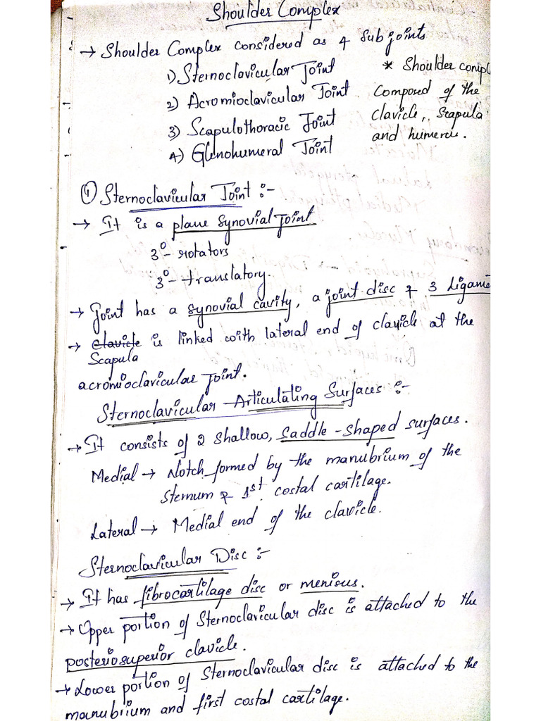 Shoulder Complex 240902 225737 | PDF