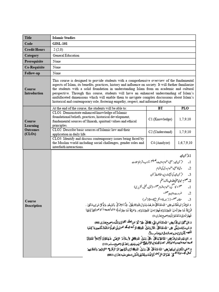 1738649255BS Computer Science GISL-101 | PDF