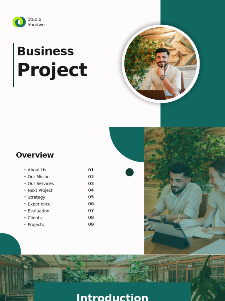 Studio Shodwe Business Overview | PDF | Information Technology | Business Intelligence