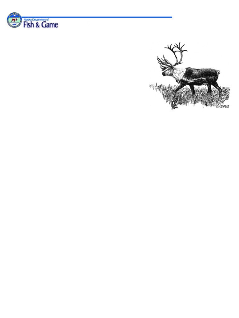 Caribou | PDF | Reindeer