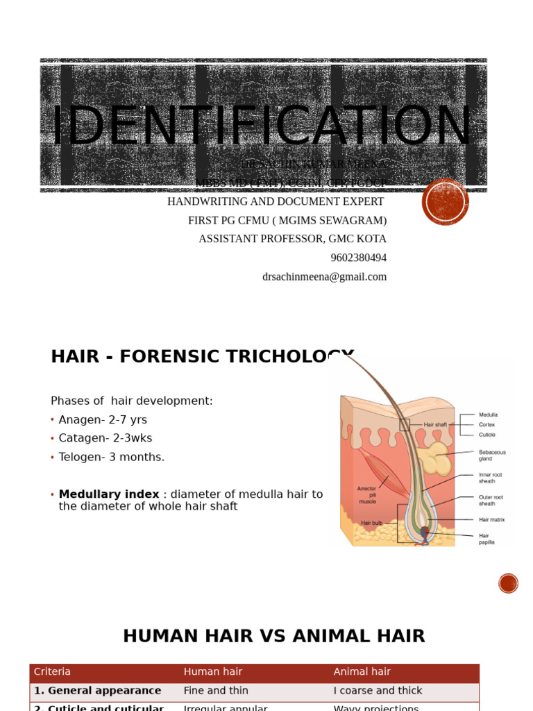 Identification Part 3 | PDF | Fingerprint | Hair