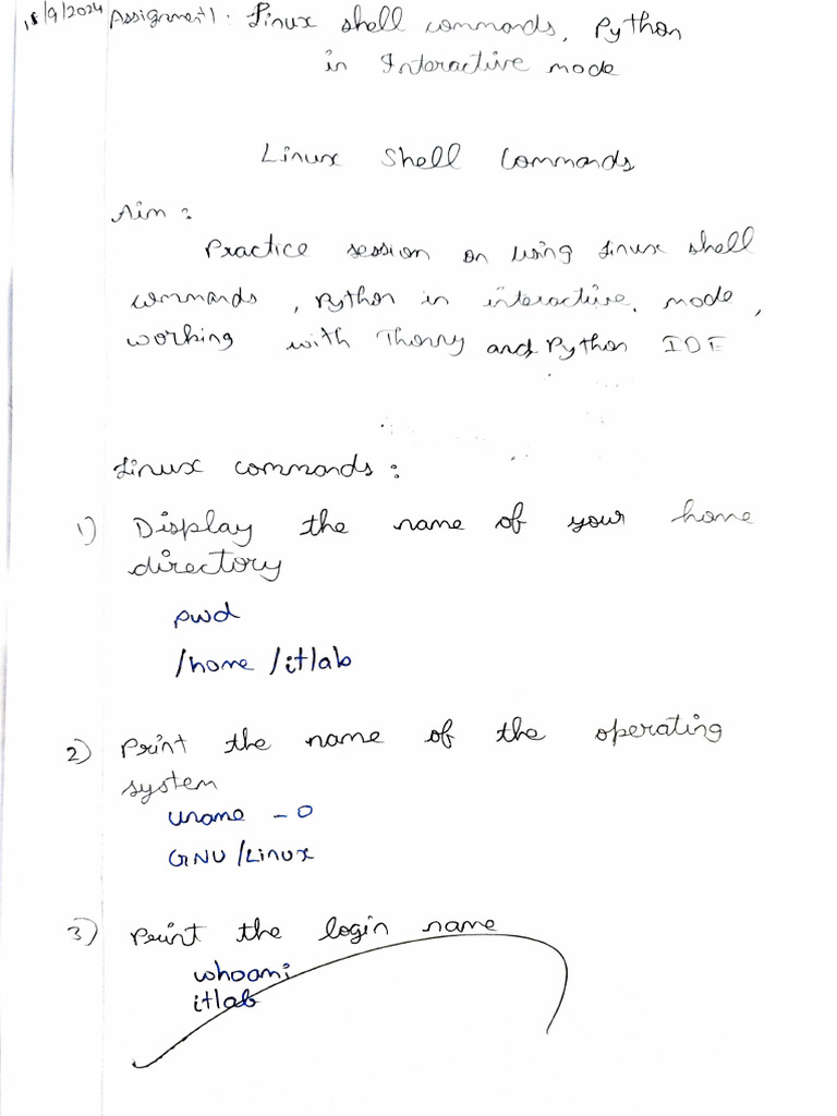 Python Assignment 1 | PDF