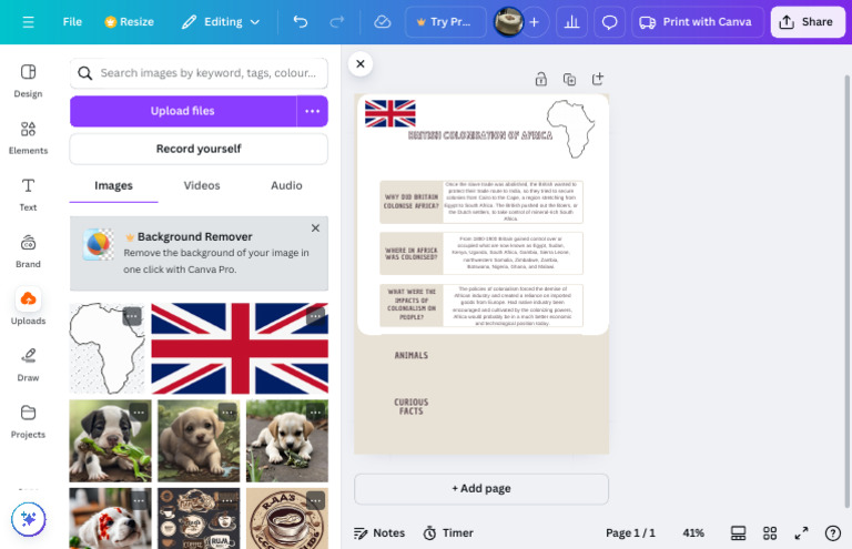 Beige White Simple Sonoran Desert Facts Worksheet - A4 | PDF | Africa ...