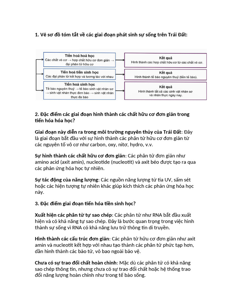 PHT Bài 19 Vphu | PDF