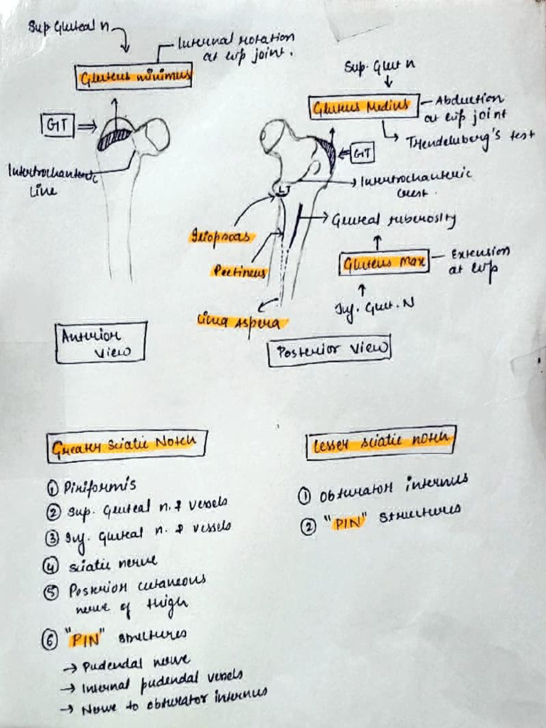 Medical Notes | PDF