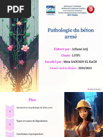 La Ségrégation Du Béton | PDF