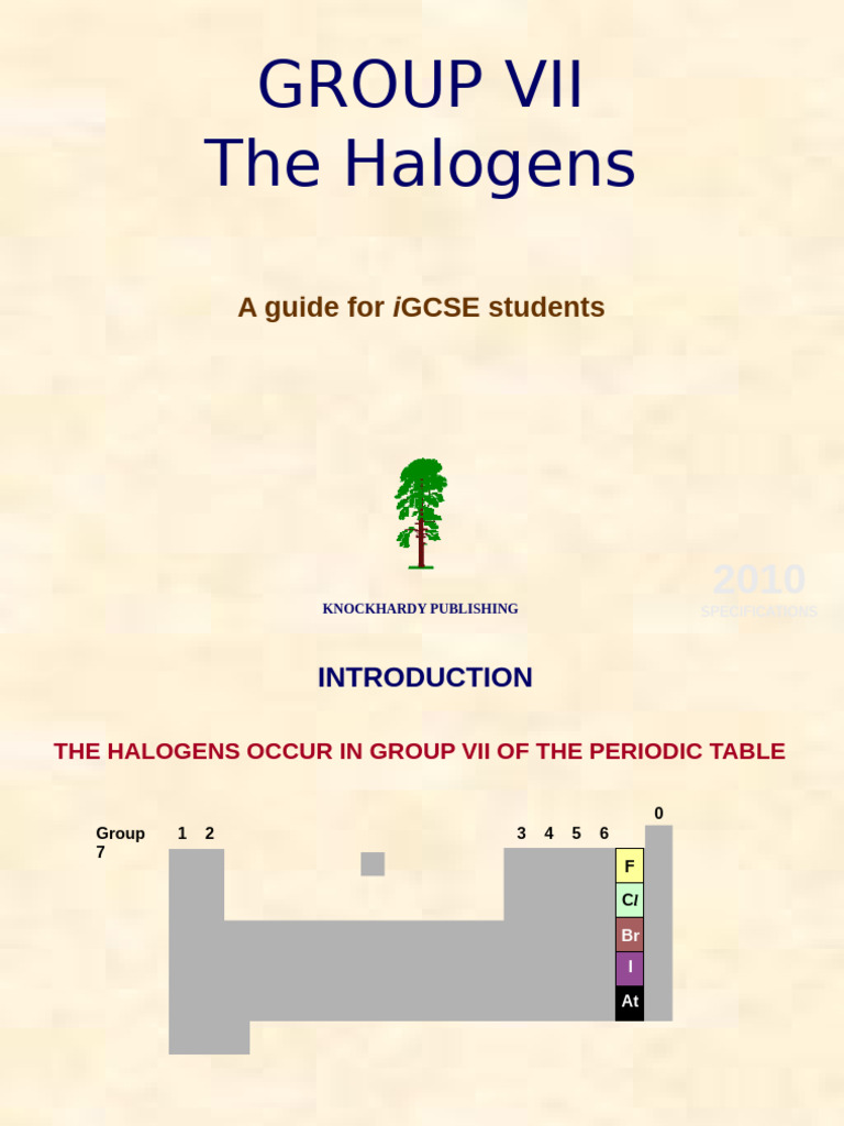 Group 7 Halogens | PDF | Chlorine | Ion
