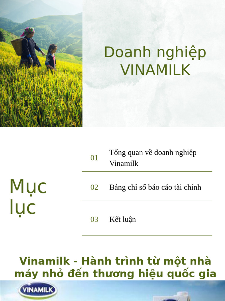 Doanh nghiệp vinamilk | PDF