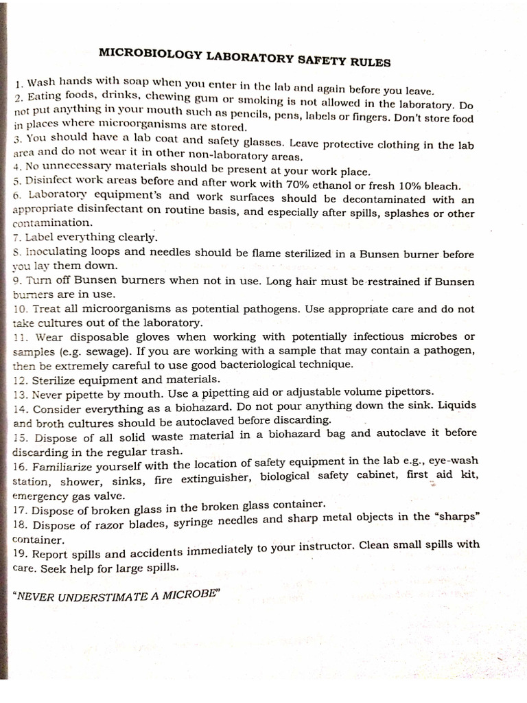 02p Isolation And Identification Of Bacteria Pdf