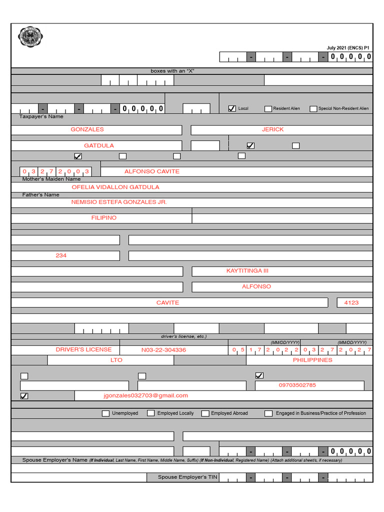 BIR Form 1902 Registration Guide | PDF | Identity Document | Government ...