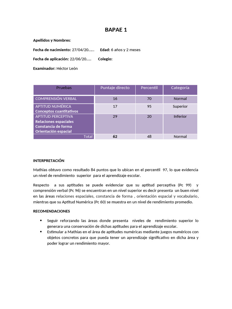 MODELO INFORME BAPAE 1 | PDF