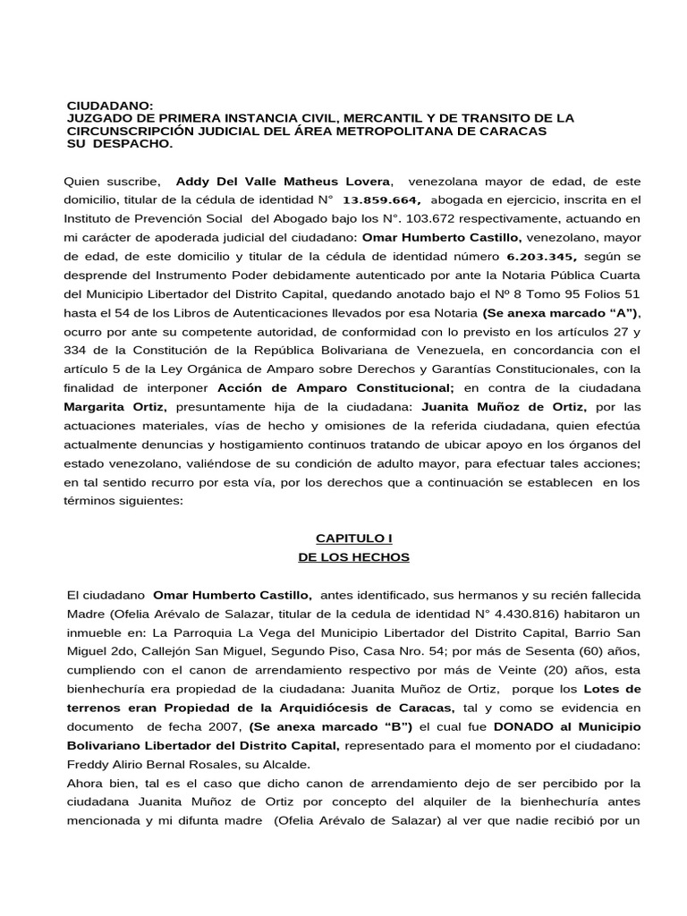 Acción de Amparo Constitucional en Caracas | PDF | Derecho ...