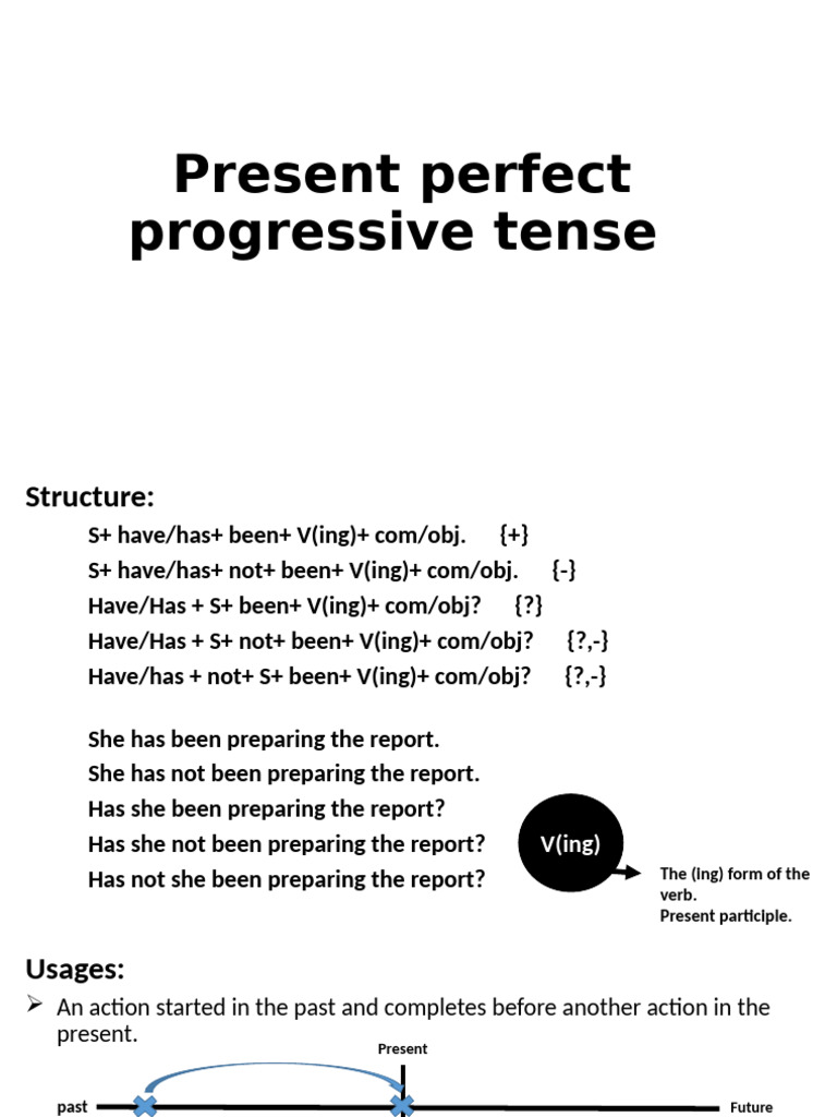 Understanding Present Perfect Progressive Tense | PDF