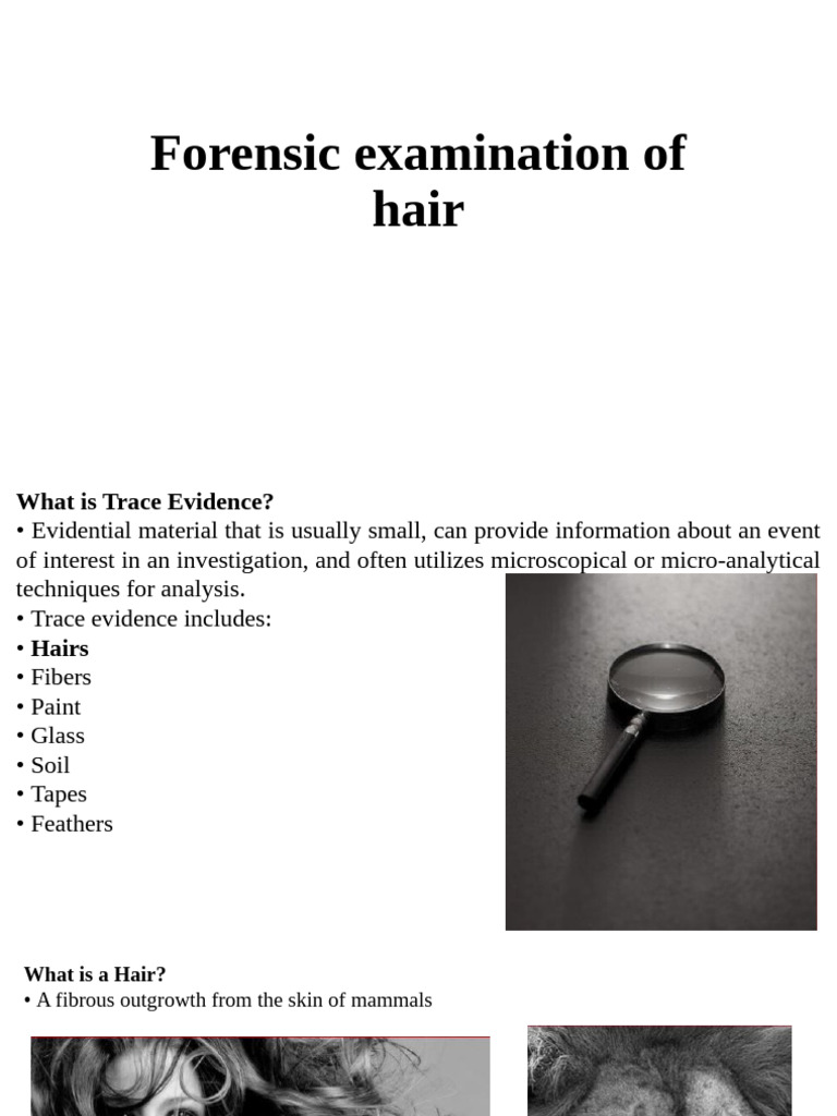 Forensic examination of hair | PDF | Hair | Biology