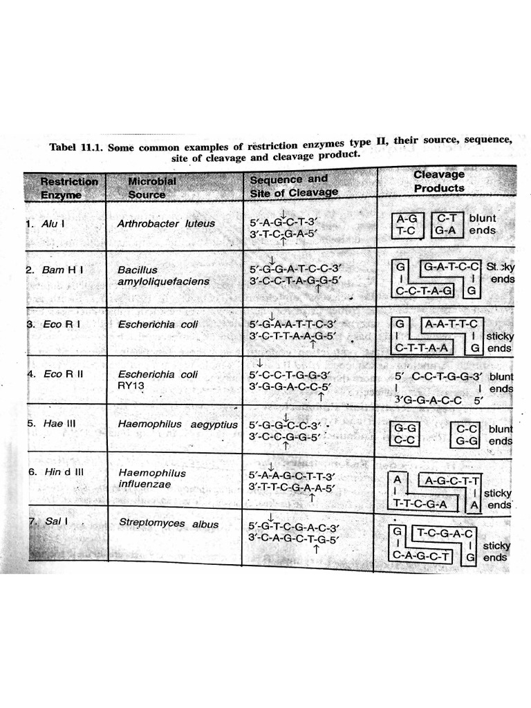 Class 12 Bio | PDF