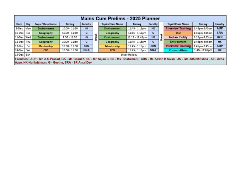 2025 Mains and Prelims Study Planner | PDF