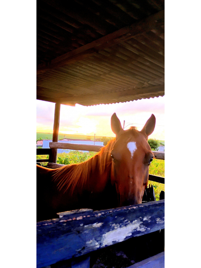 PDFReader 20250228 1114 | PDF