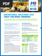 H&N Nick Chick Layer Management Guide | PDF | Chicken | Disinfectant