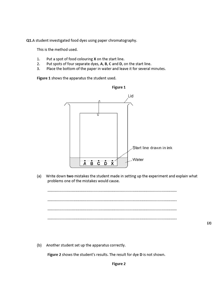 Identification of Common Gases 3 QP | PDF | Acid | Sodium Bicarbonate