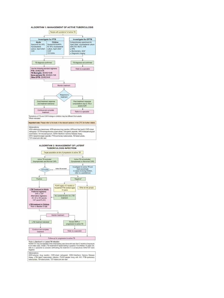 CPG Tuberculosis | PDF
