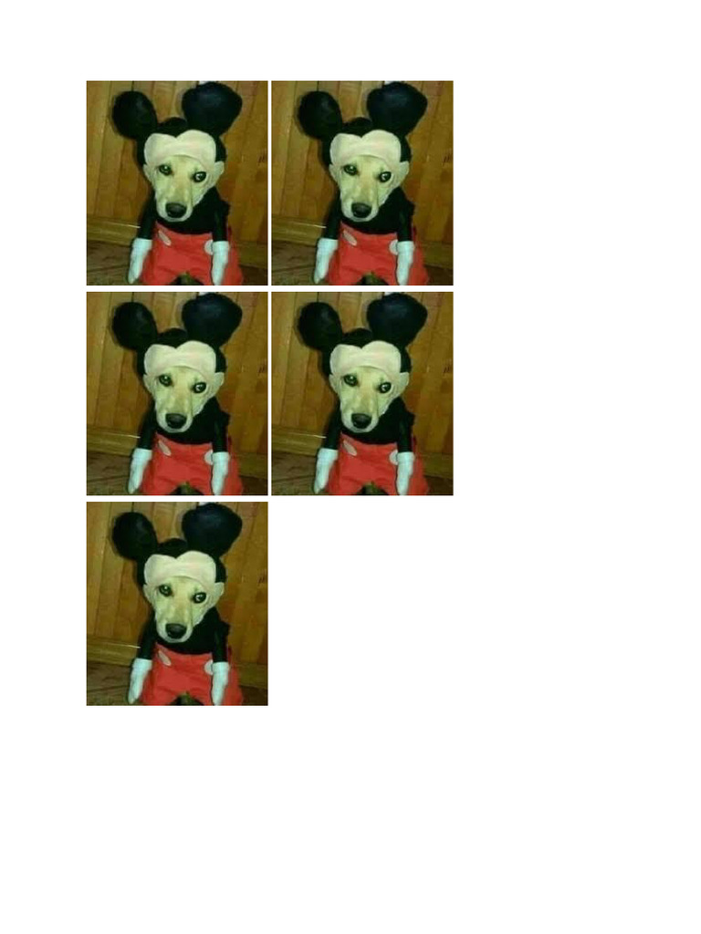 Documento Sem Título | PDF