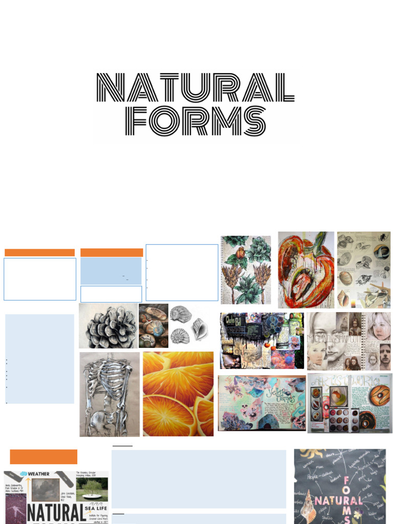 Natural Forms YR10 Project | PDF | Drawing | Composition (Visual Arts)