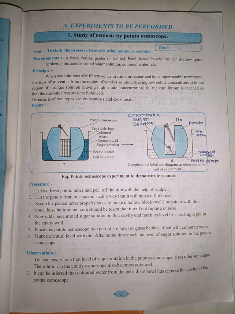 HSC Biology Practical Handbook | PDF