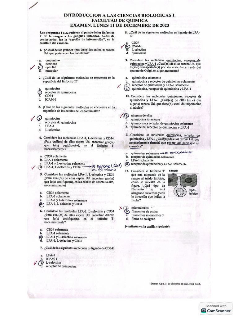 Examen icb 1 11-12-2023 | PDF