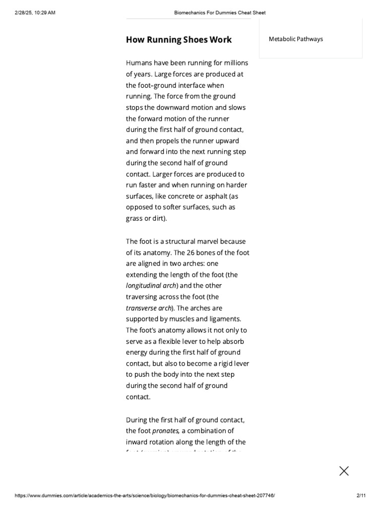 Biomechanics For Dummies Cheat Sheet pt.2 | PDF | Foot | Connective Tissue