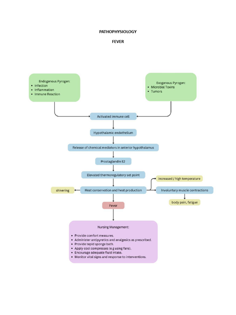 Pathophysiology 1 | PDF