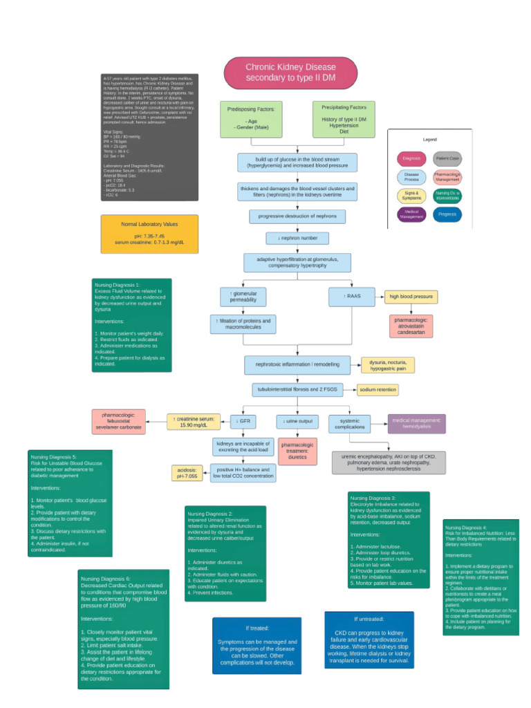Final CKD Concept Map | PDF