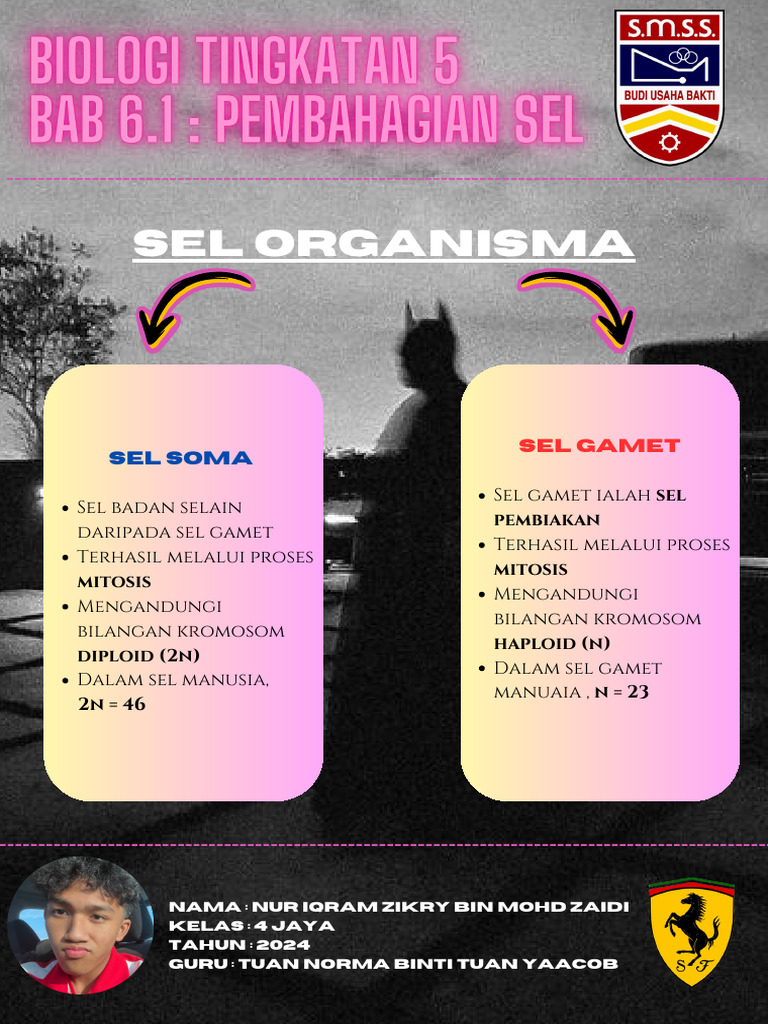 Biologi Tingkatan 4 Bab 6.1 Pembahagian Sel PDF | PDF