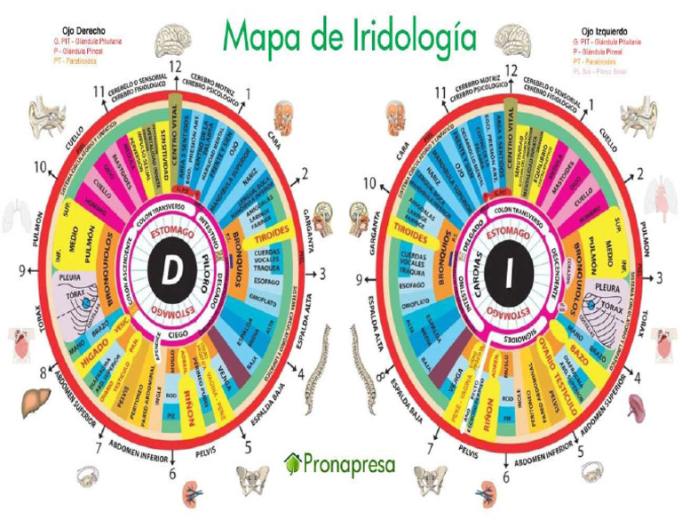 Mapa Iris | PDF